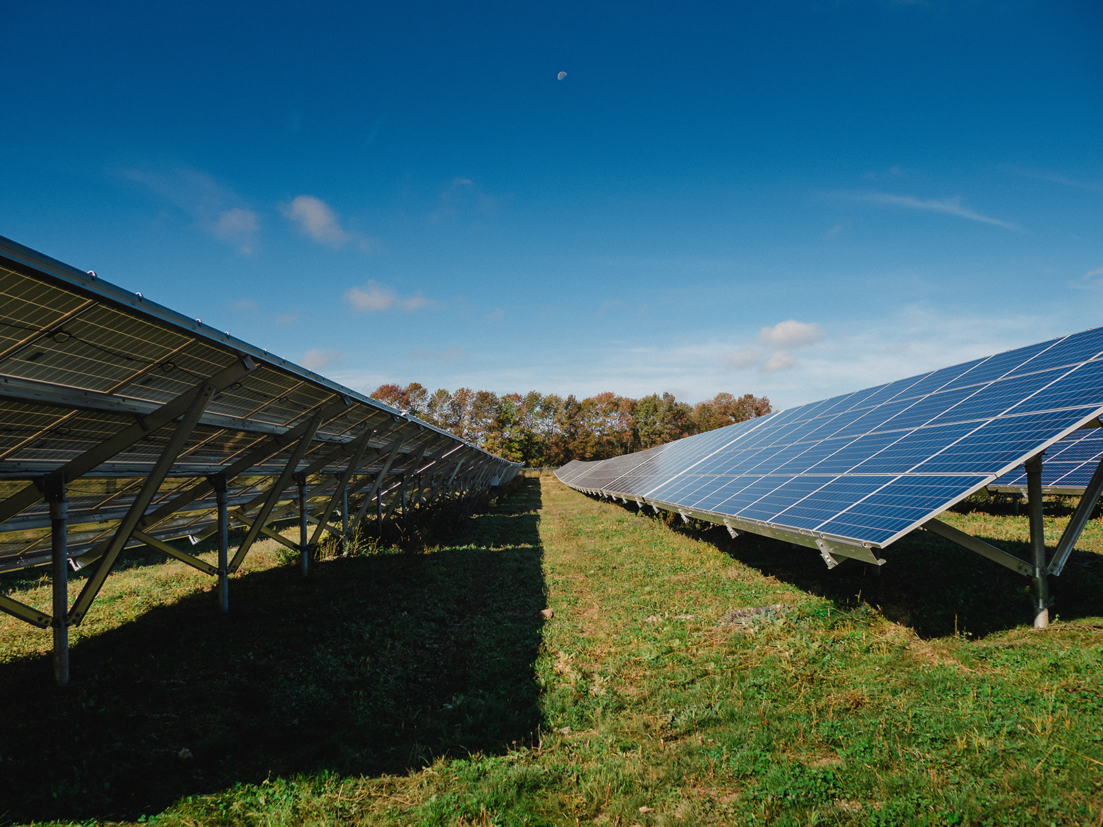 Loyalist Solar Facility | Projects | BluEarth Renewables