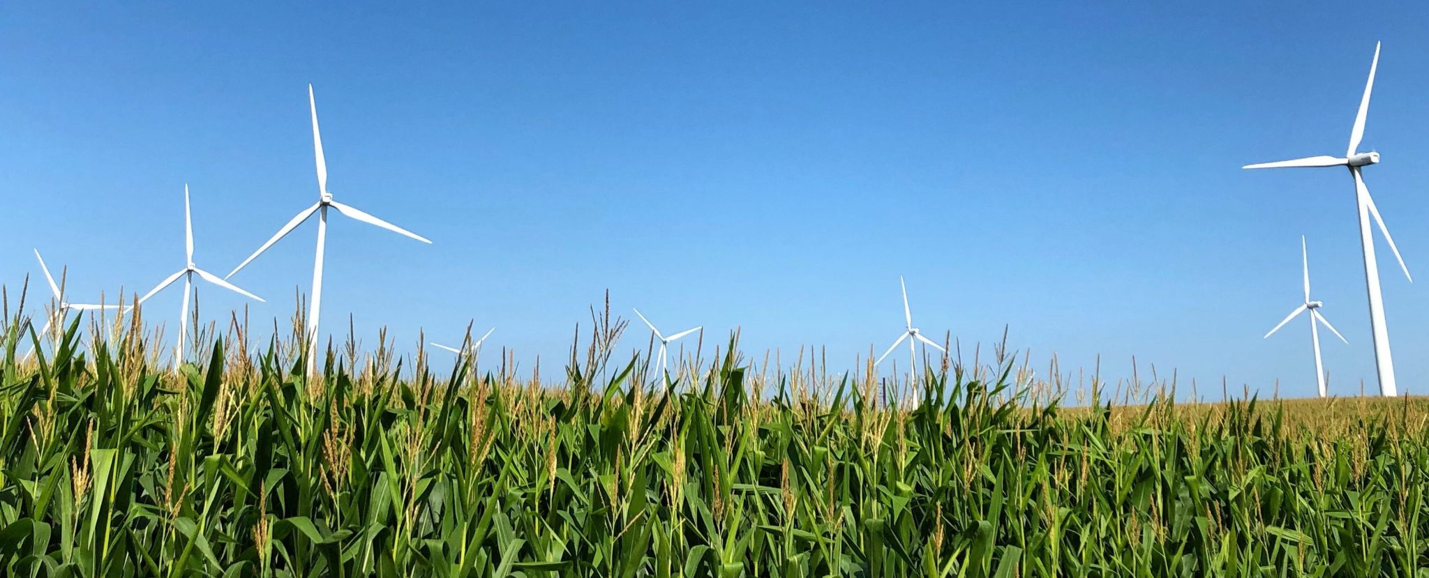 Wind Projects | BluEarth Renewables