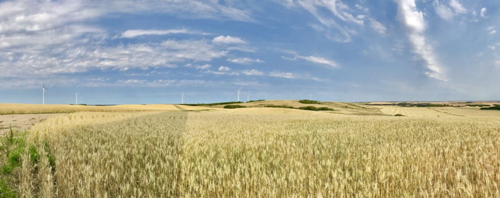 Newsroom | BluEarth Renewables