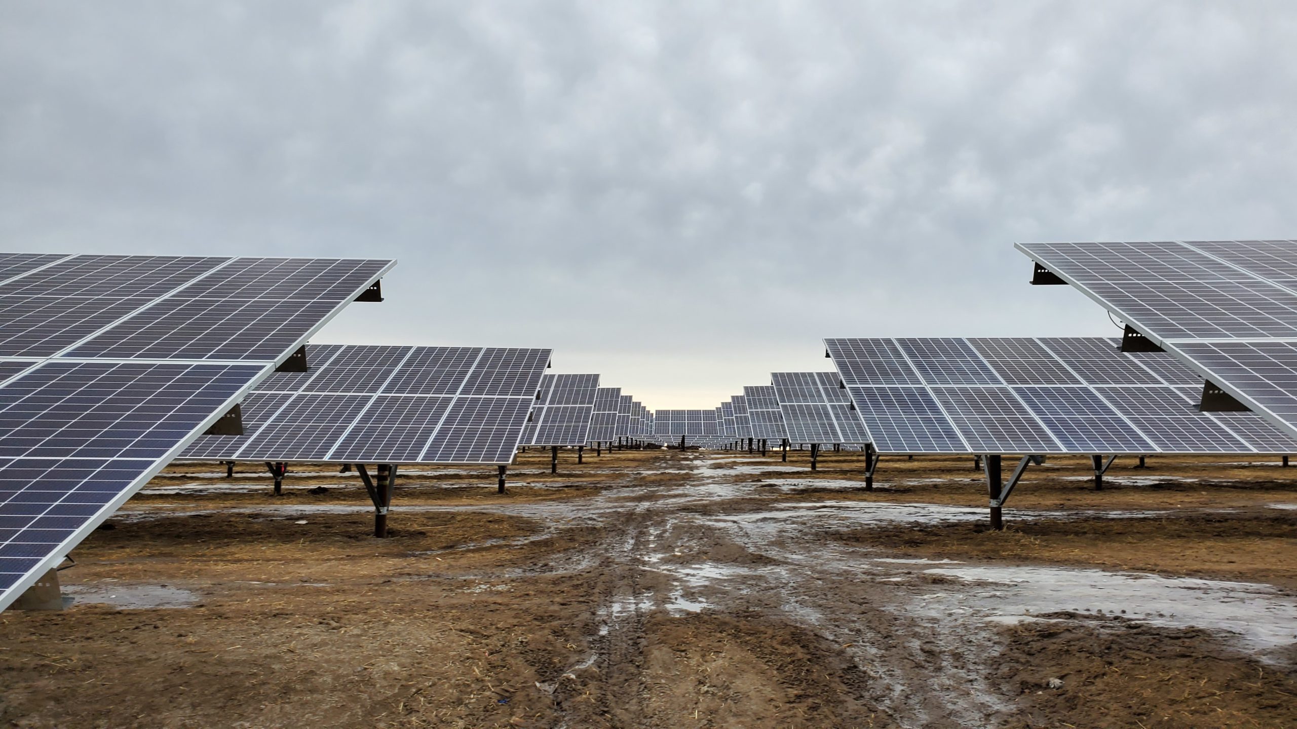 Yellow Lake Solar Facility | Projects | BluEarth Renewables