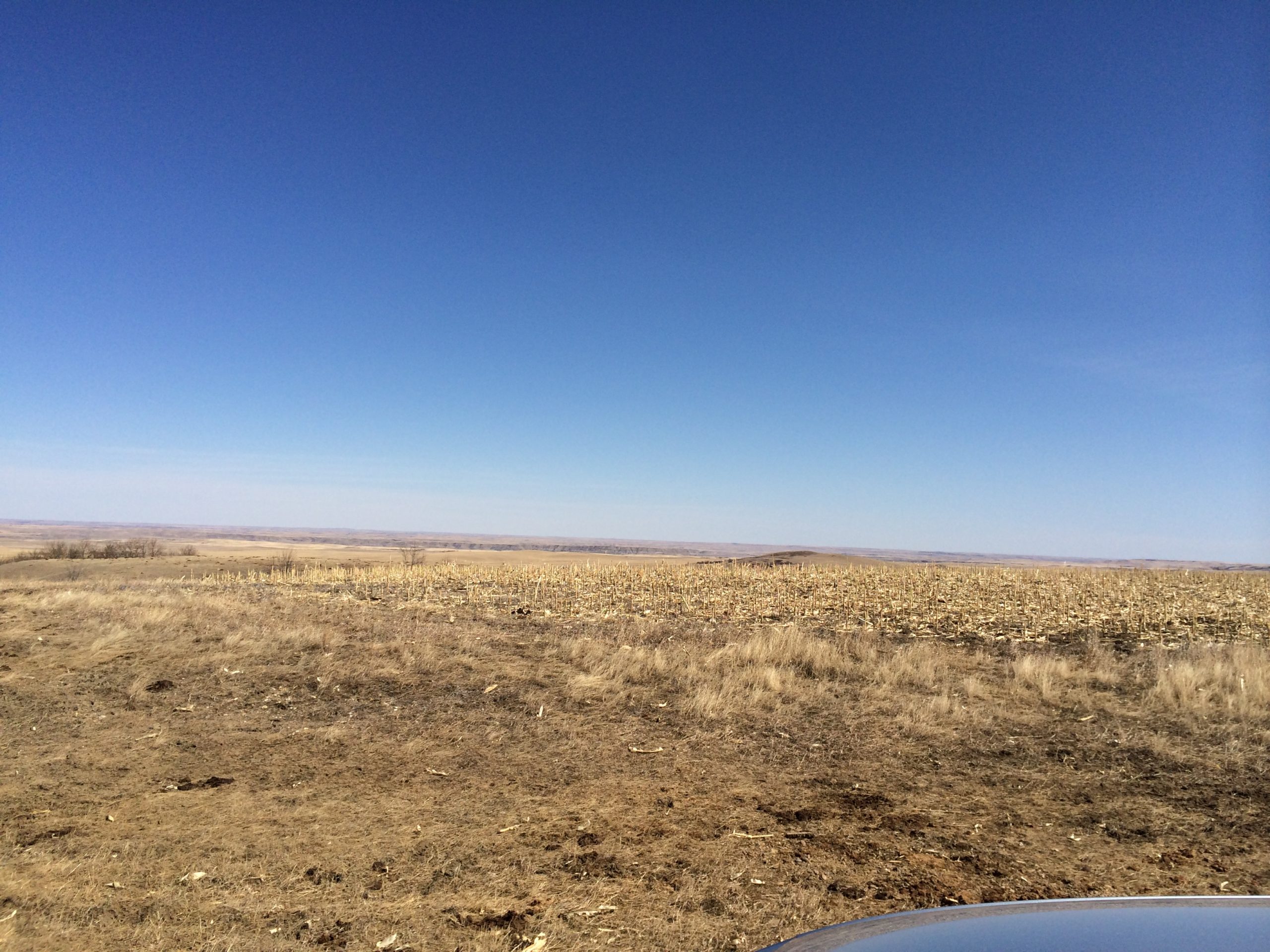 Outlaw Trail Wind Project | Projects | BluEarth Renewables