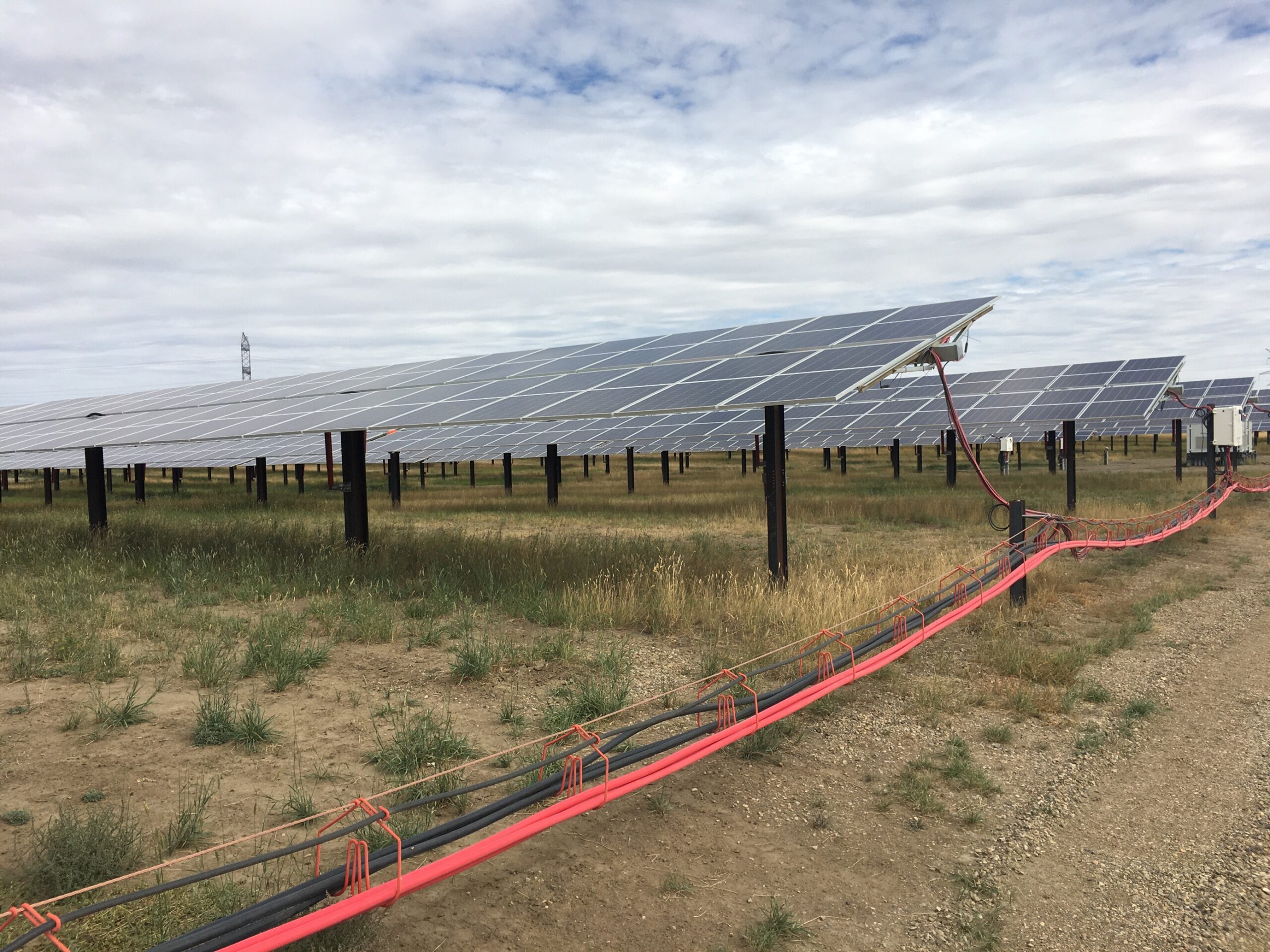 Suffield Solar Facility | Projects | BluEarth Renewables