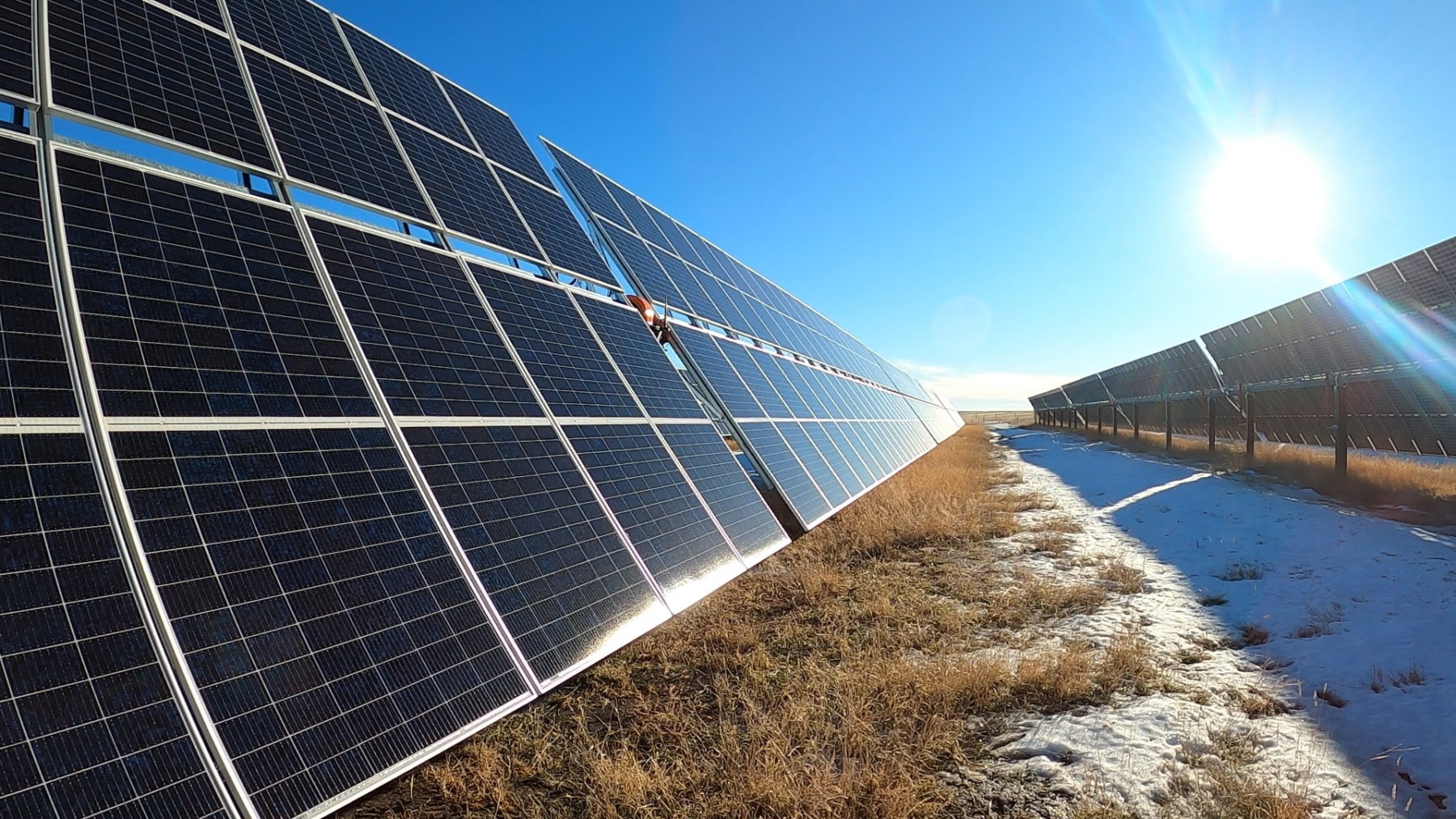 Suffield Solar Facility | Projects | BluEarth Renewables