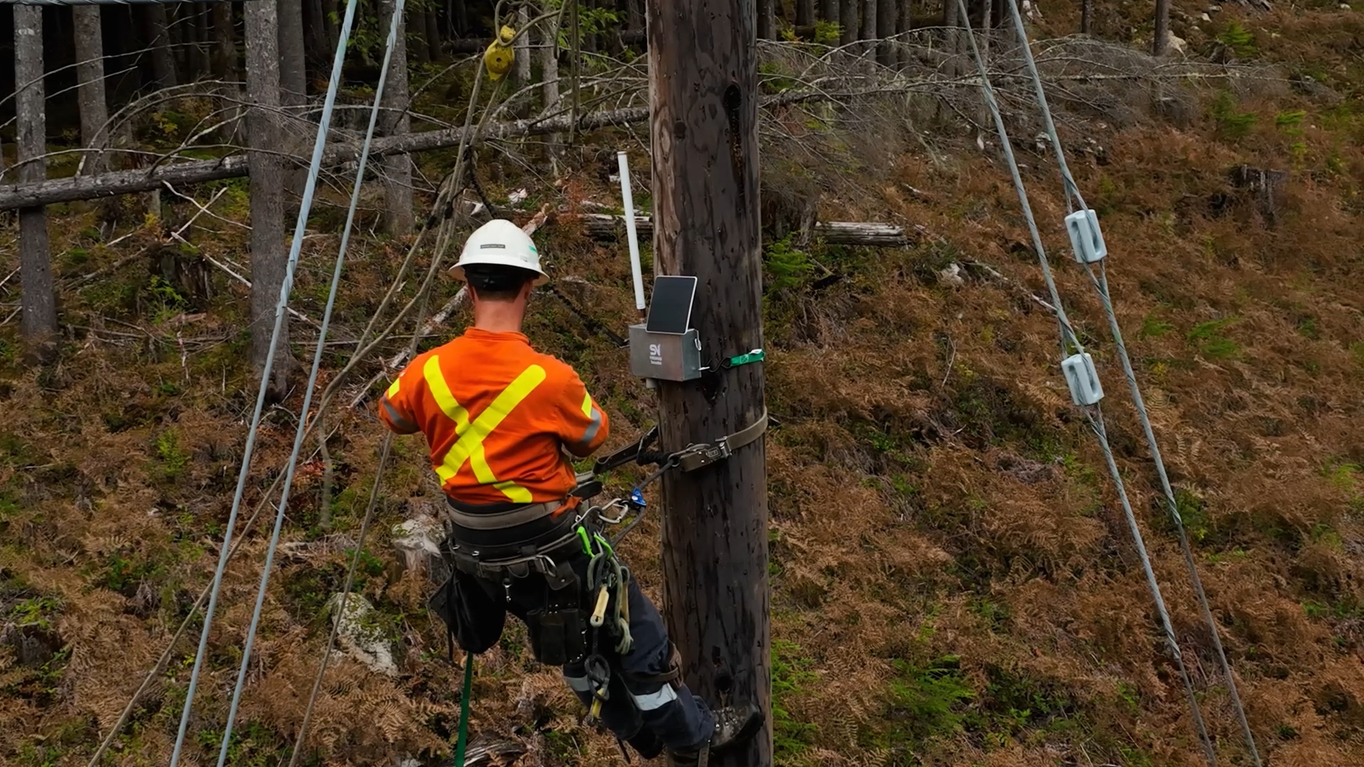 BluEarth Renewables | Renewable Energy Company